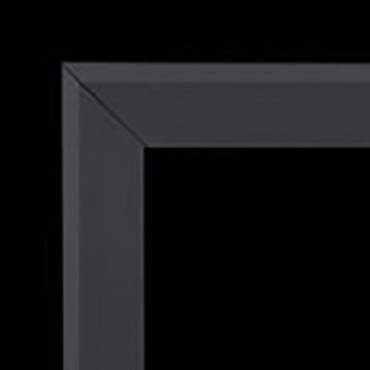 Napoleon Element 42 Optional Trim Kit NEFB42H-BS-TRIM — BBQing.com