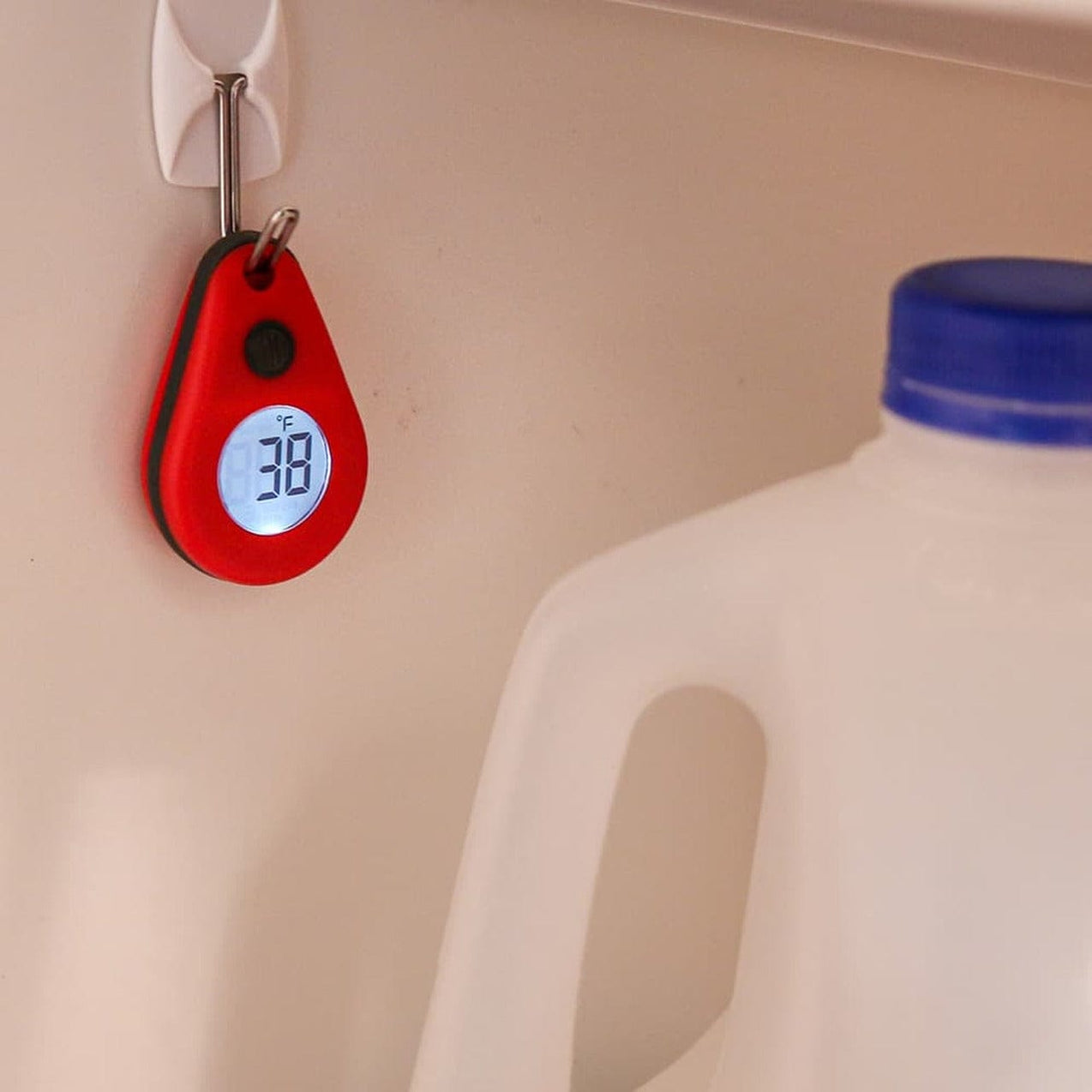 ThermoDrop Zipper-Pull Thermometer — BBQing.com